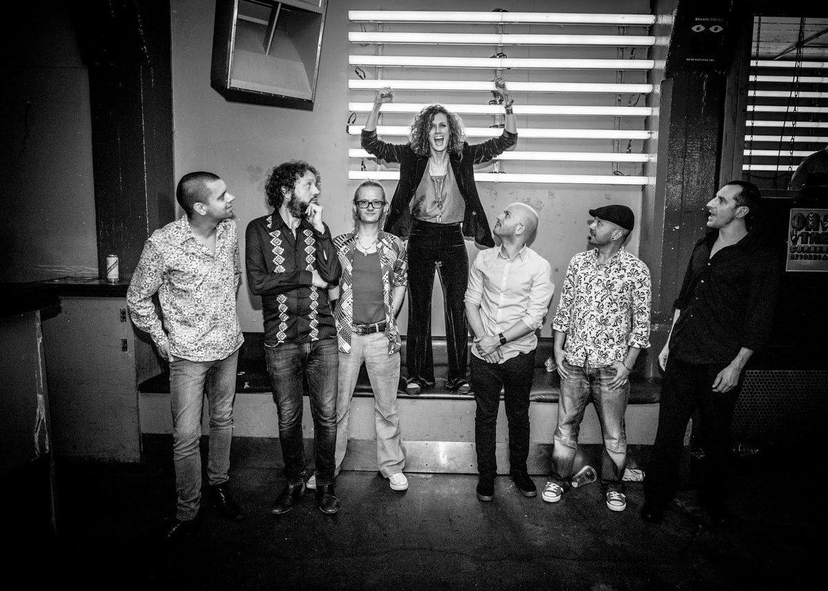 Album Of The Week: Collocutor - The Search